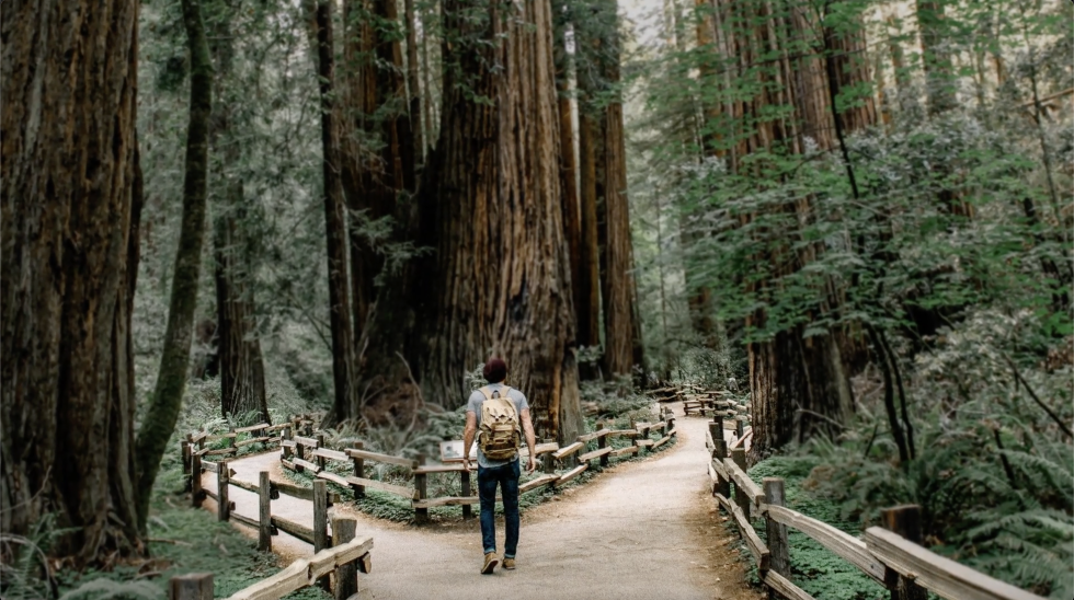 Crisis Intervention | Pajet Monet